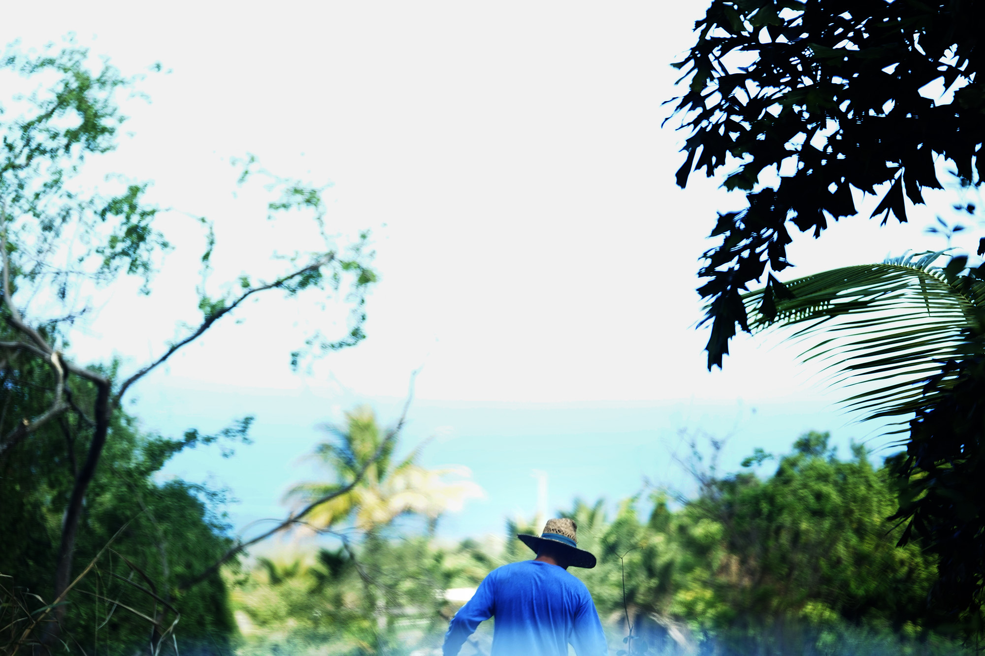 ICE Takes Aim At Immigrant Kids In Big Island’s Coffee Belt | News From ...