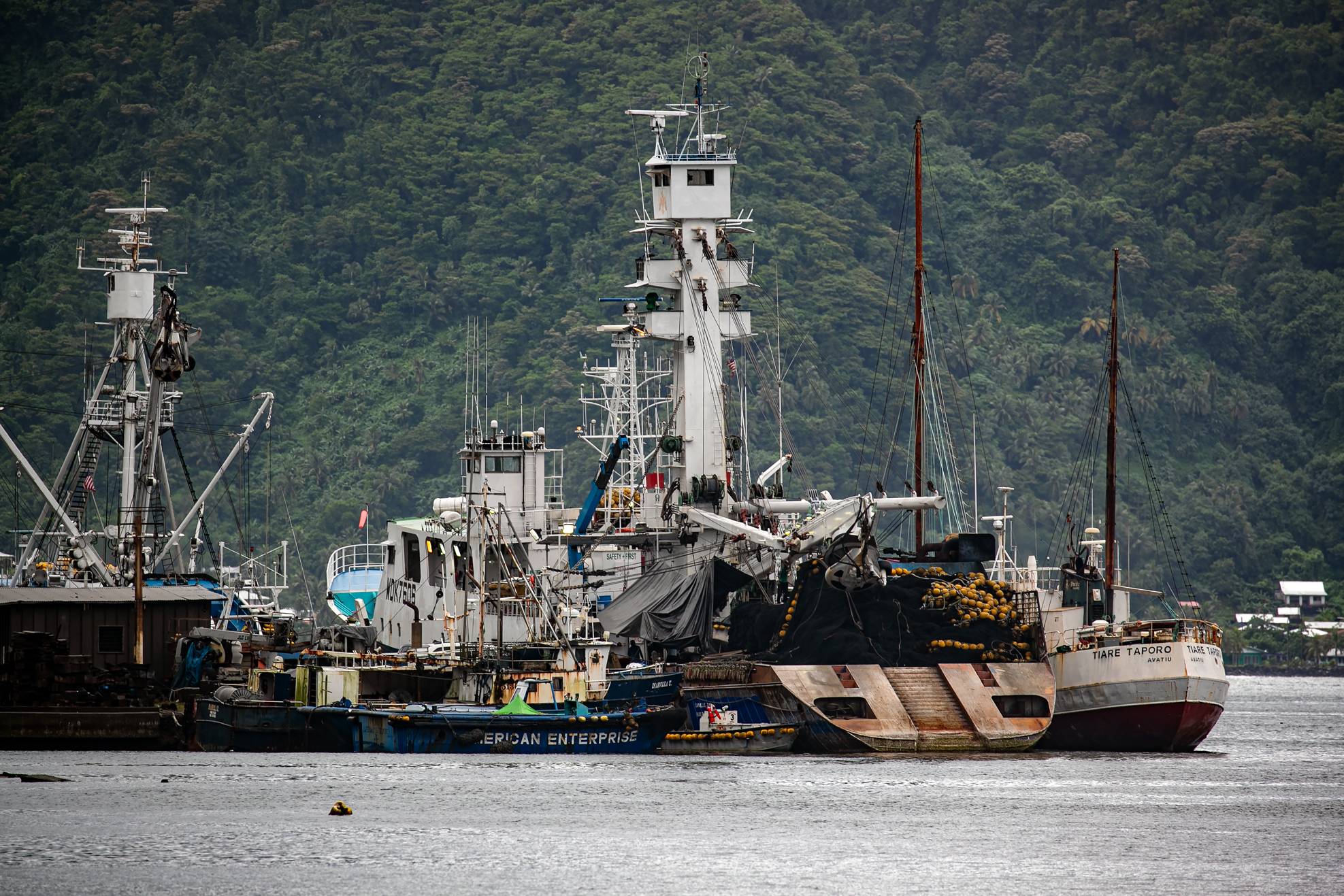 Pacific Tuna Fleets Pushed To Lift Ban In Waters They Barely Fished ...
