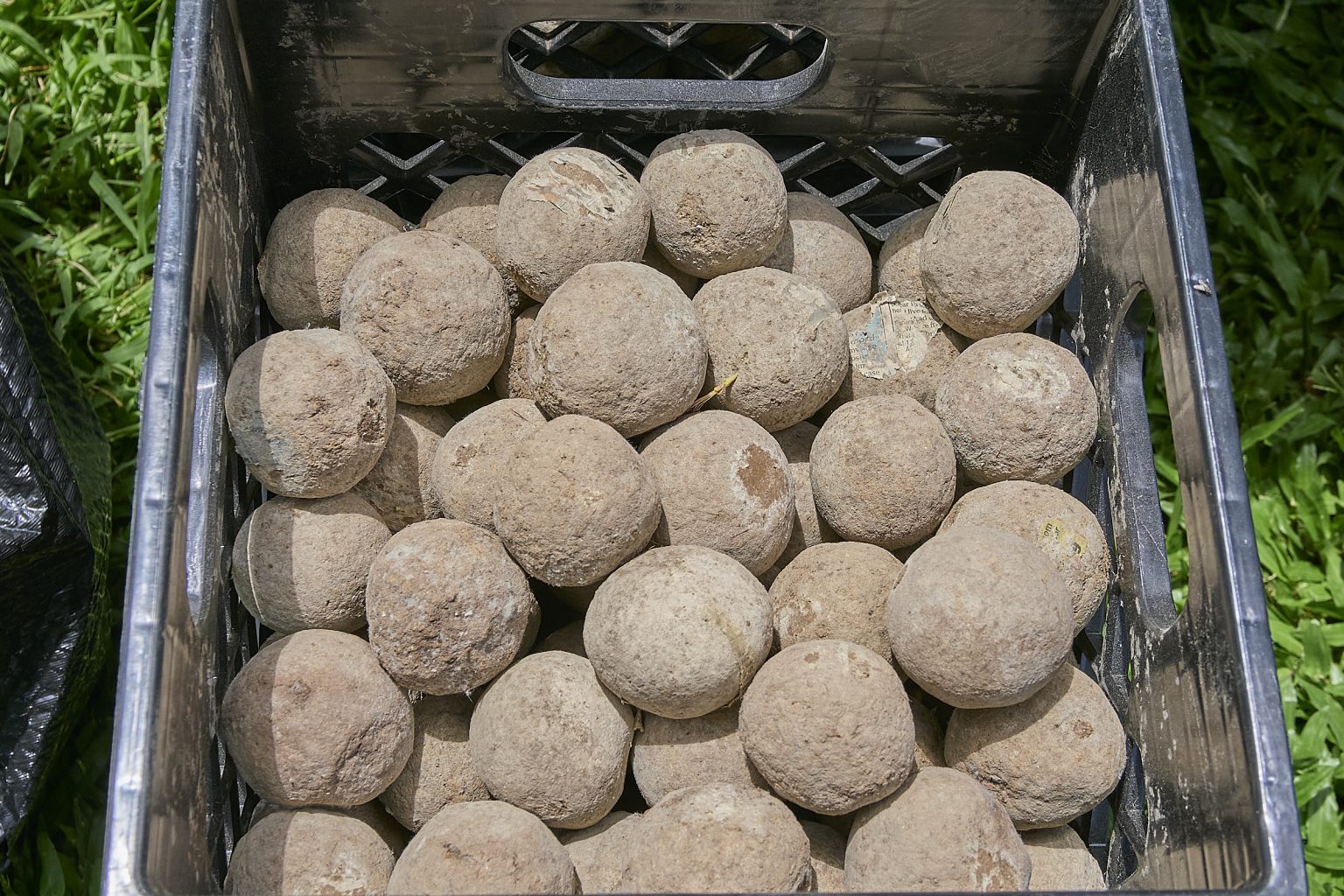 Hawaiʻi Loves ‘Genki Balls’ To Clean Water. New Studies Say They Don’t ...