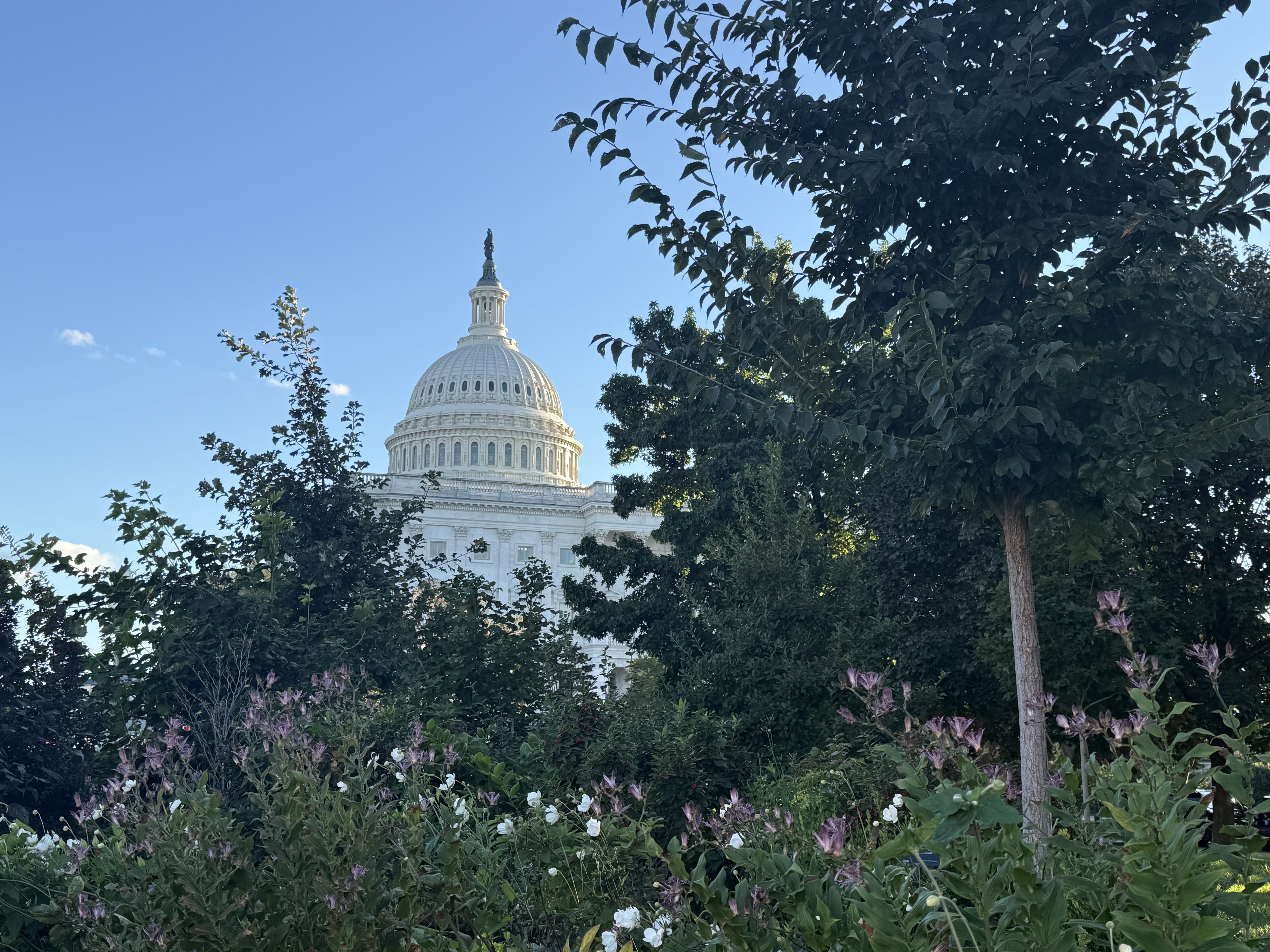 One stopgap after another: Shutdown puts Congress on the verge of ...