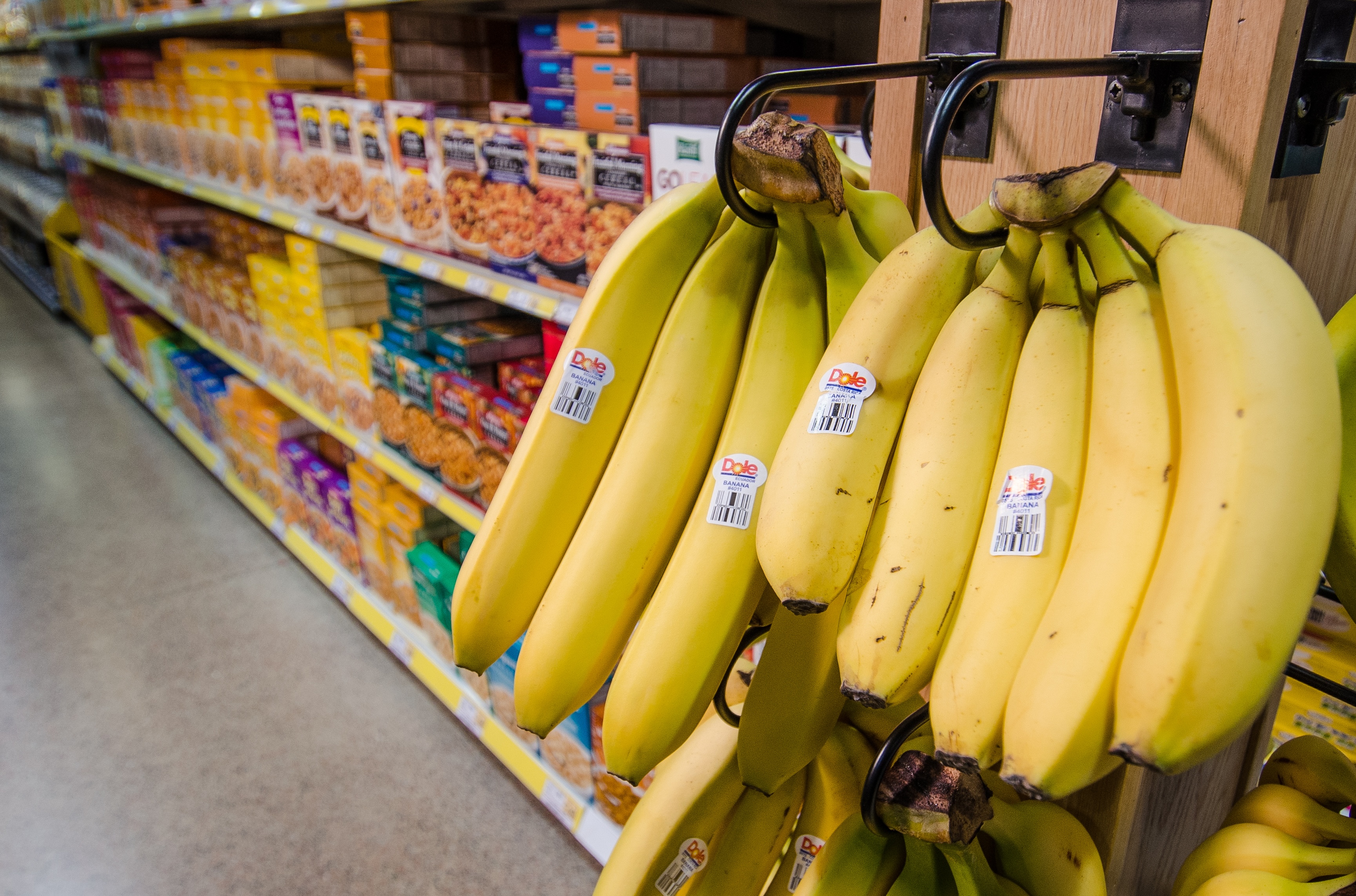 Democratic AGs, governors sue Trump over SNAP benefits as shutdown hits ...