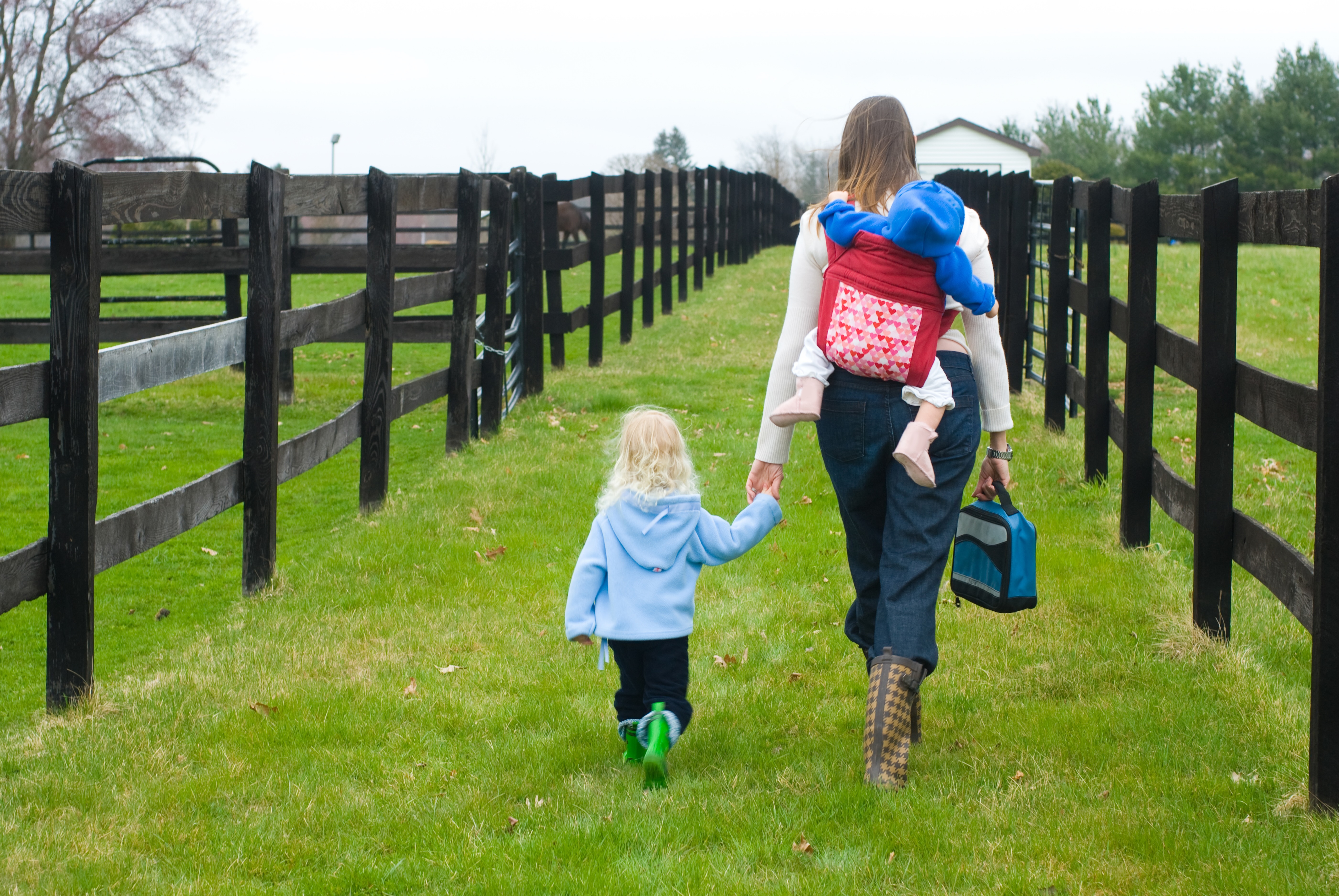 US Senate Dems probe effect of Trump administration child care cutbacks ...