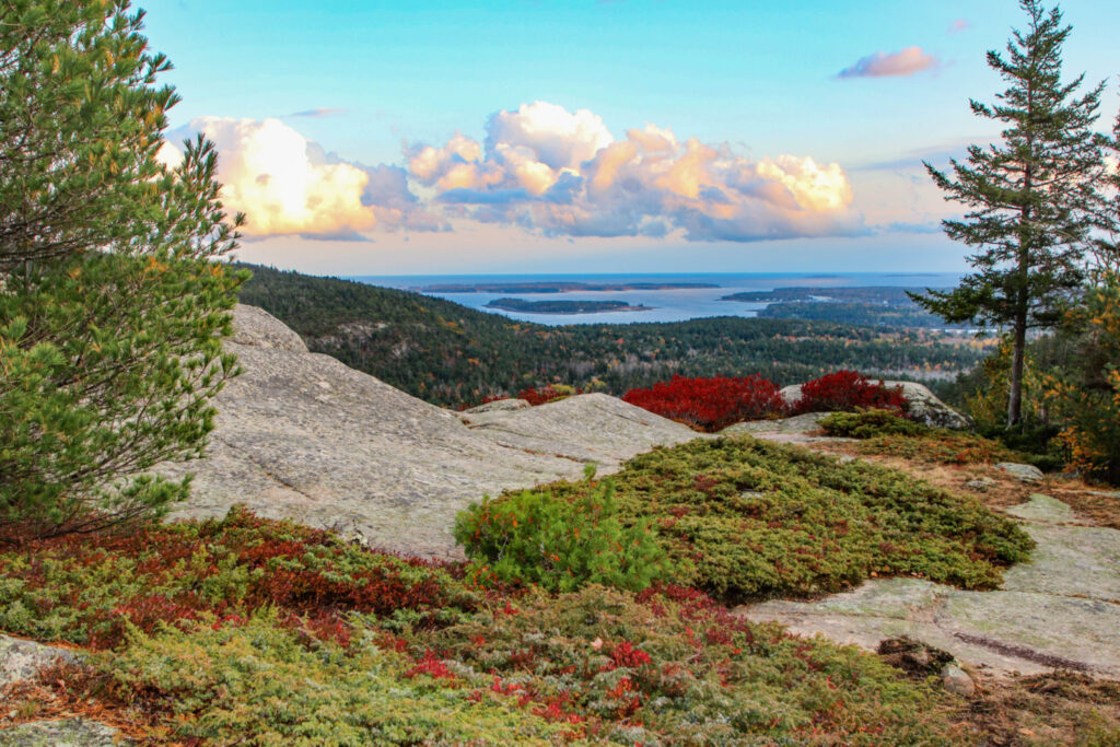 Pingree asks Trump administration to further protect National Park ...