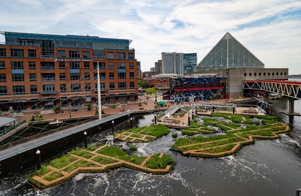 Baltimore harbor gains ‘floating wetlands’ and a hint of its marshy ...