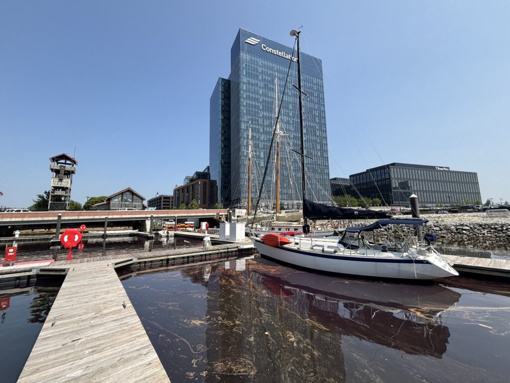 Diesel spill in Baltimore Harbor came from Johns Hopkins Hospital ...