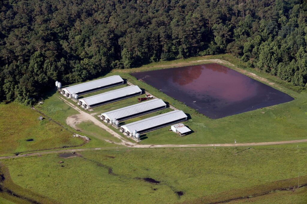 Funding shortfalls hamper North Carolina’s program to buy out hog farms ...