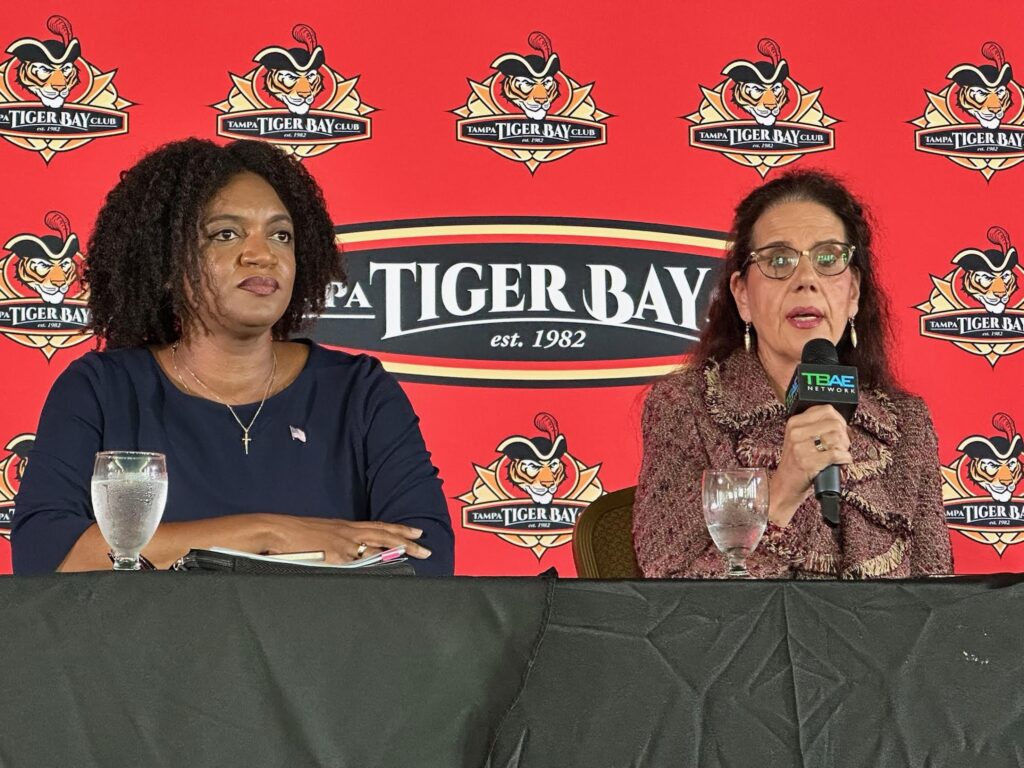 Former Hillsborough Democratic Rep. Susan Valdés defends her switch to ...