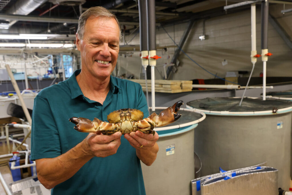 Florida seafood specialty, stone crabs, now show up in Chesapeake ...
