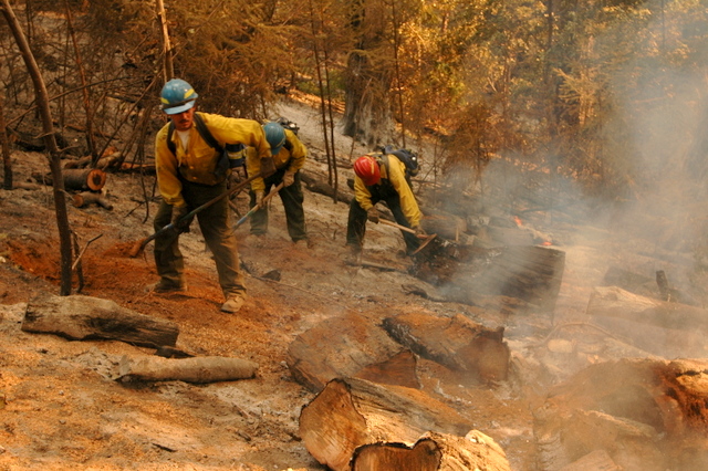 The Forest Service claims it’s fully staffed for fire season. Data ...