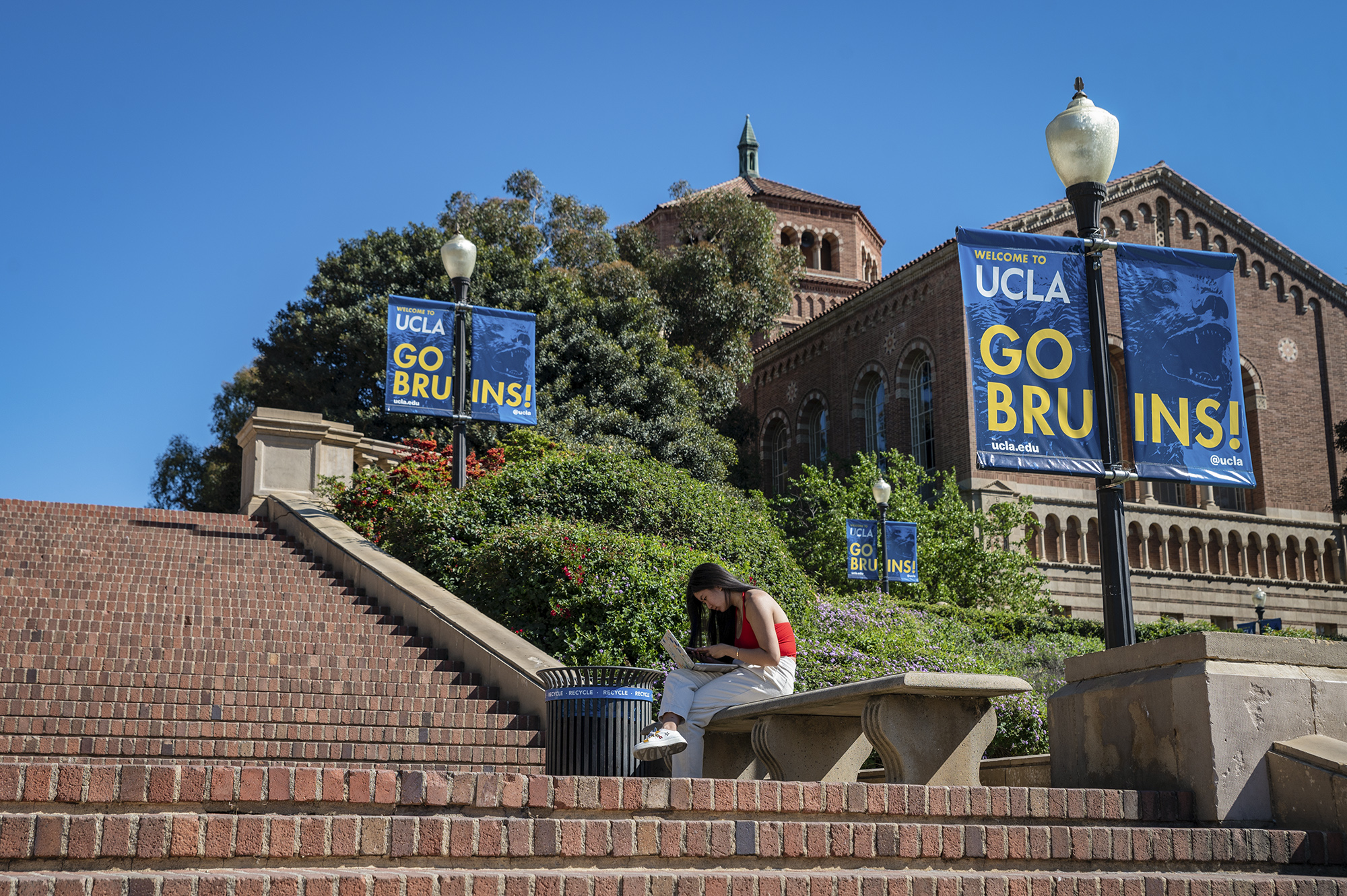 ‘Immediately rescind’: UC researchers ask judge to undo Trump’s UCLA ...