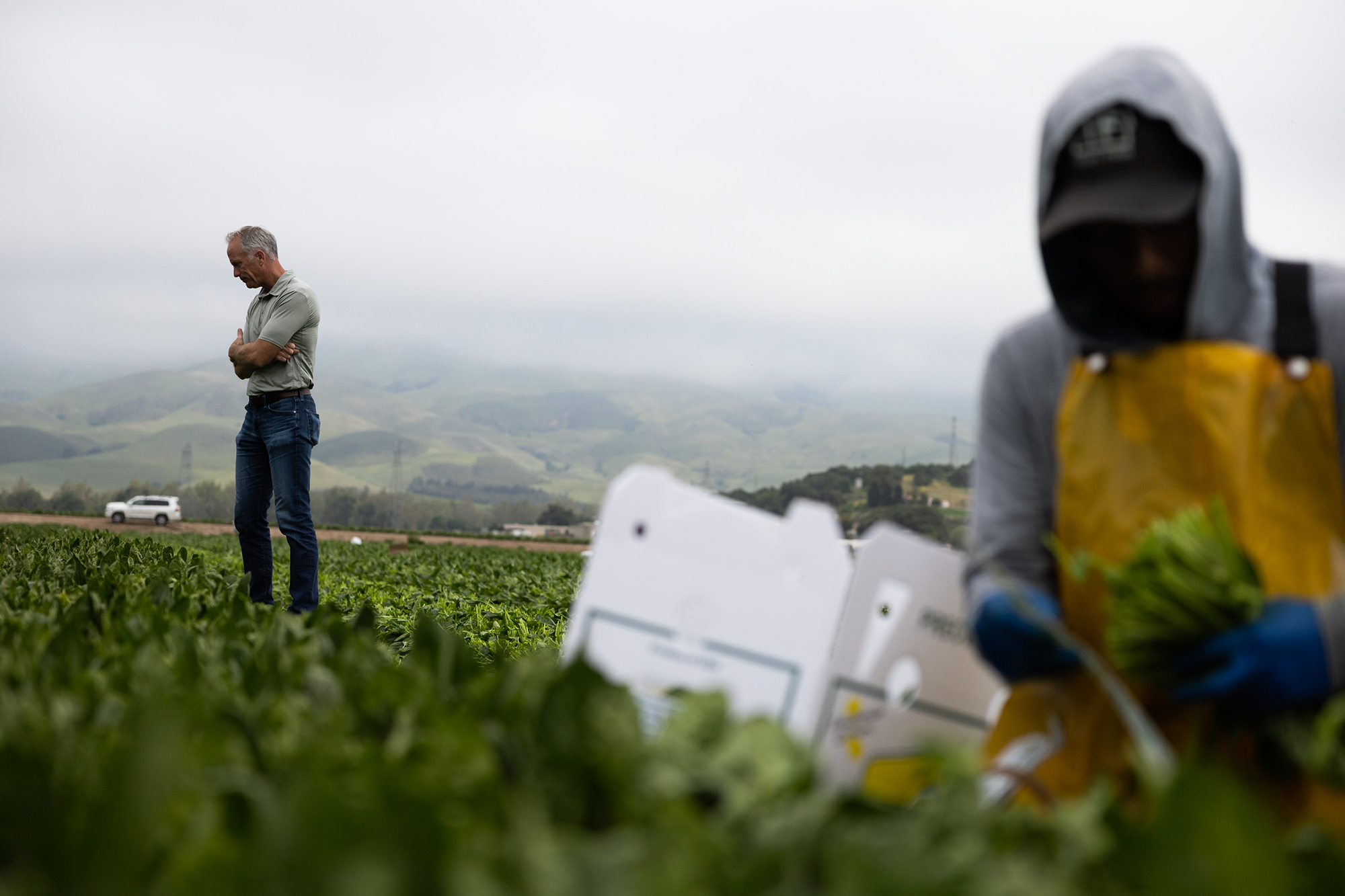 How Trump tariffs could upend California farms, wine businesses and ...