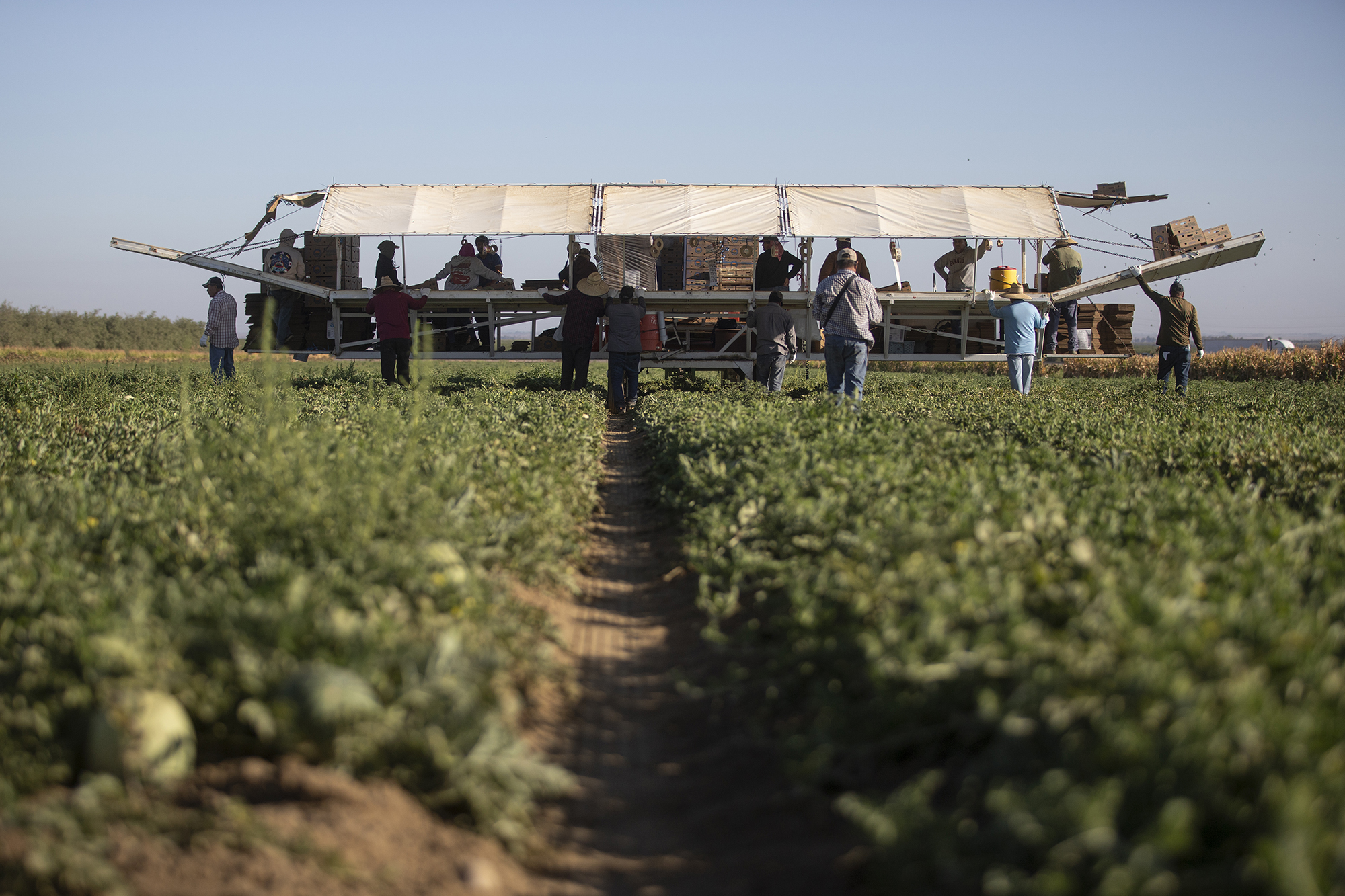 How fear of Trump’s immigration blitz is changing life in California ...