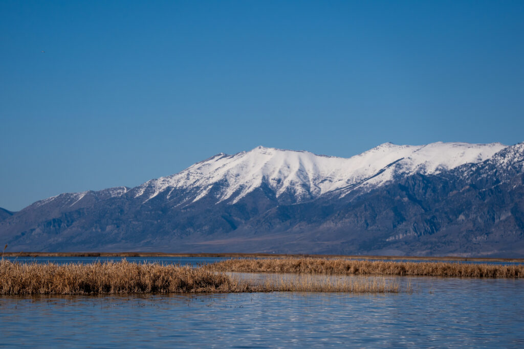 Utah lawmakers to consider forcing cities to adopt water conservation ...