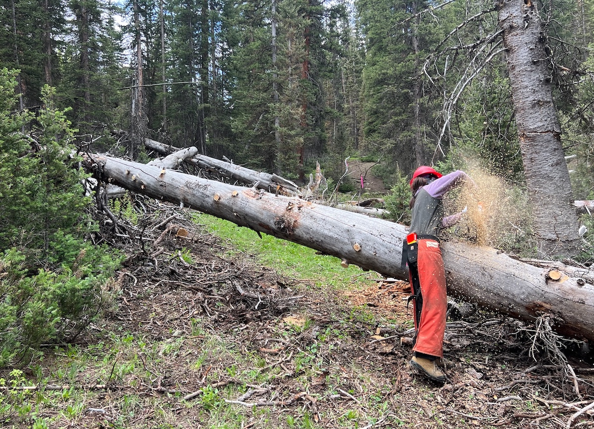 All-female ‘Forest Corps’ fills federal agency gaps for Wyoming trail ...