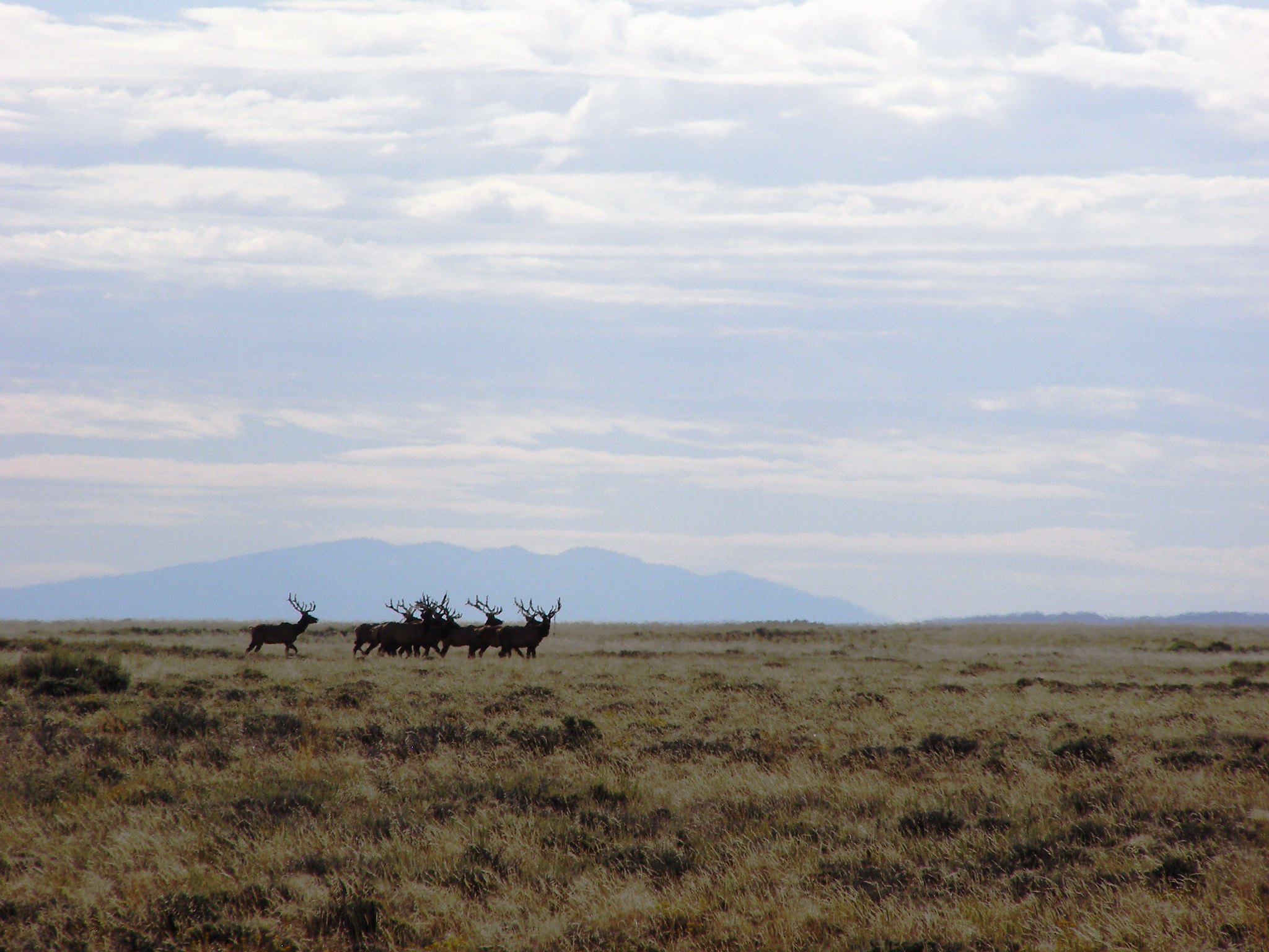 Two oilfield workers sentenced for illegal dumping on federal land in ...