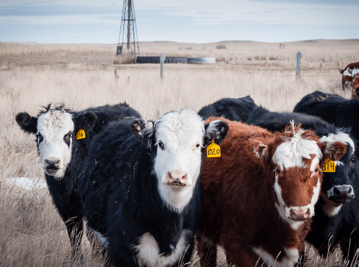 Stock growers will join corner-crossing pleadings in Supreme Court ...