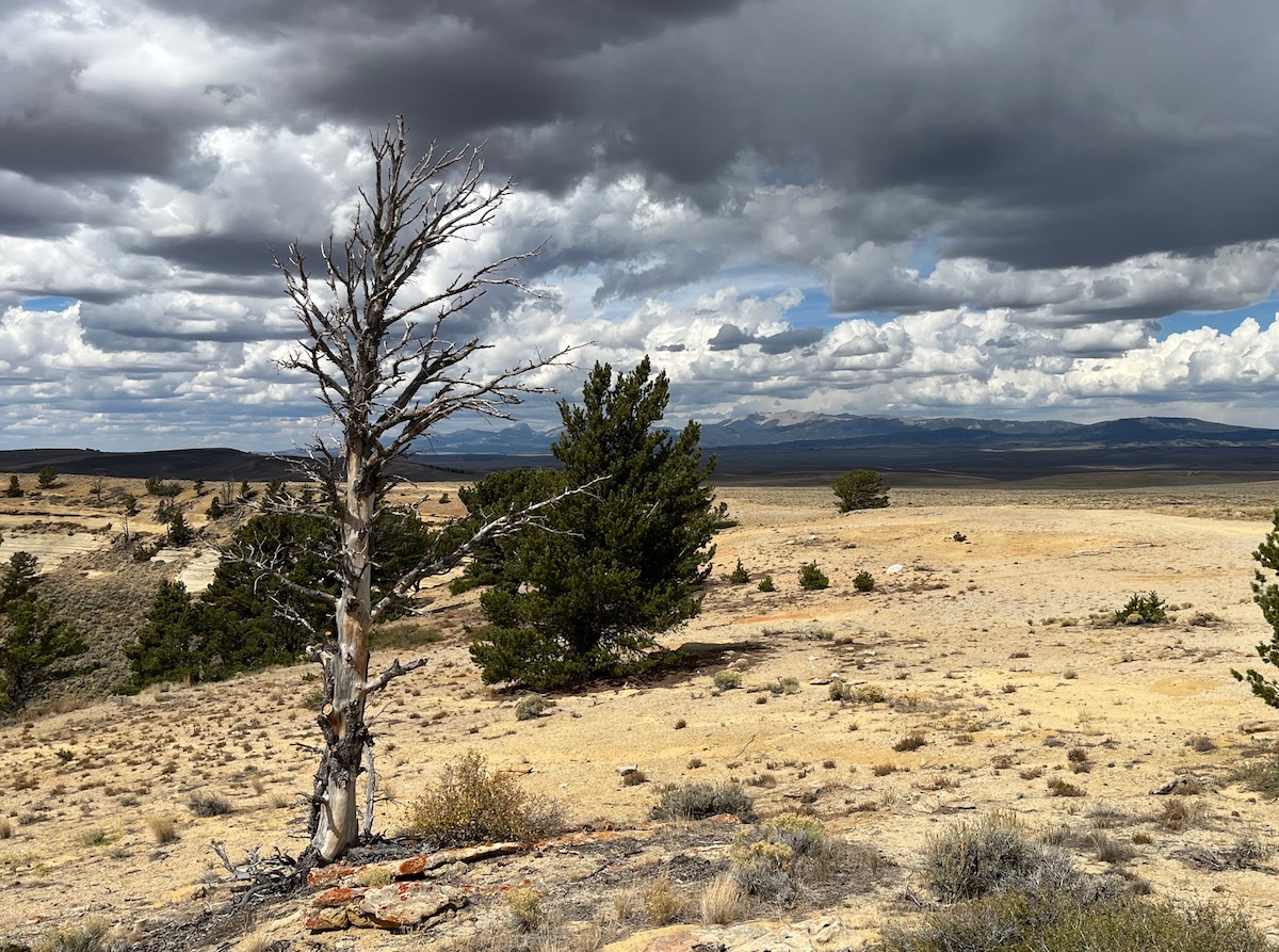 Conservationists worry a Trump re-do will imperil Wyoming’s climate ...