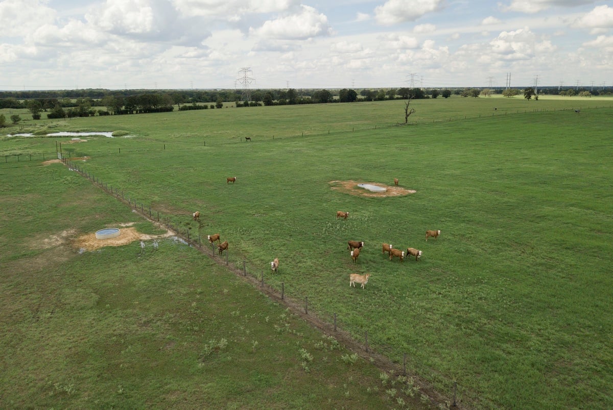 How does the government use eminent domain to seize land from Texans ...