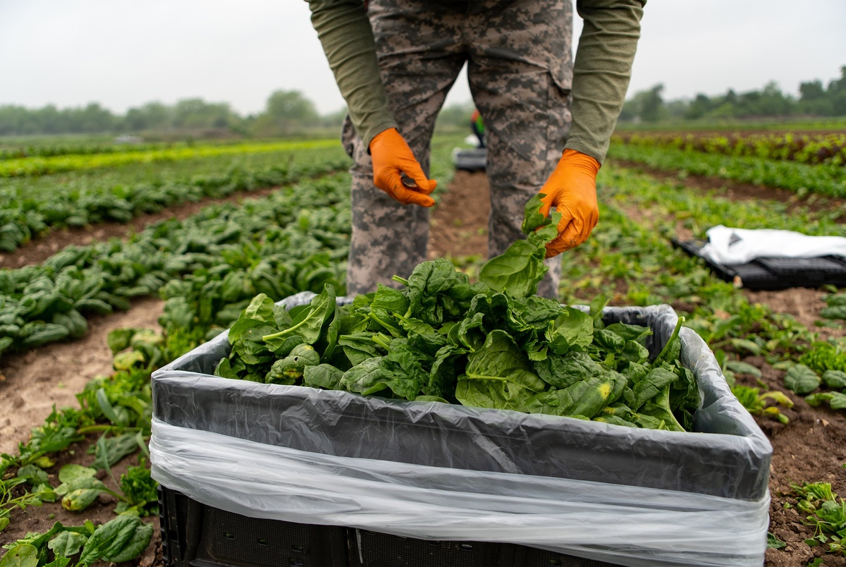 Texas farmers could have greater access to low-interest loans under a ...