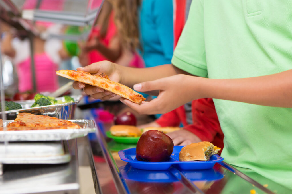 Poll: North Dakotans support free school lunches, sour on public ...