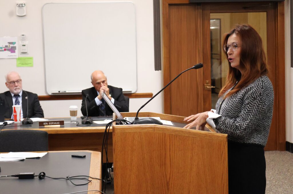 State Superintendent Kirsten Baesler leaving North Dakota post Nov. 24 ...