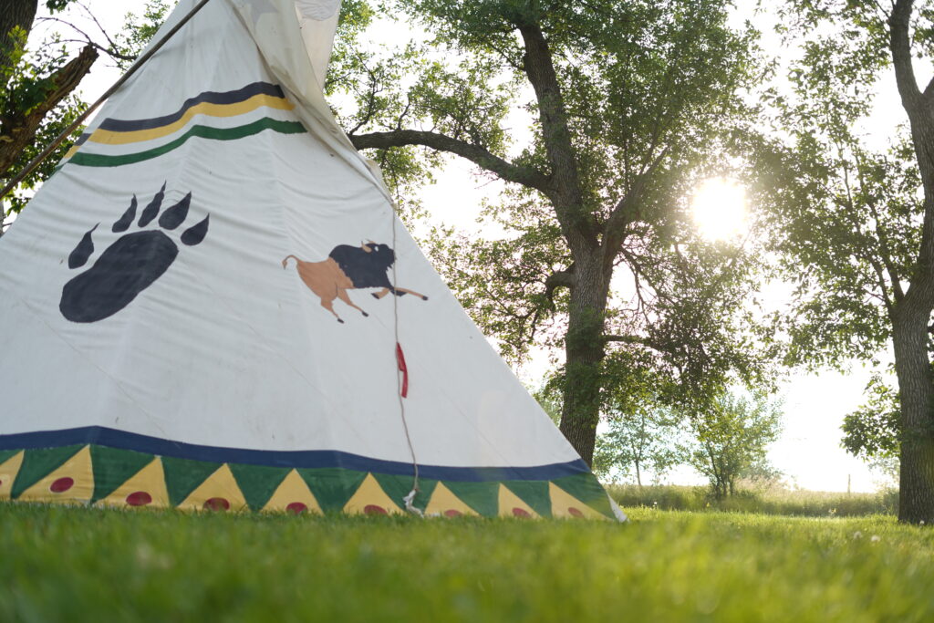 What’s being done to address the high number of Native children in ...