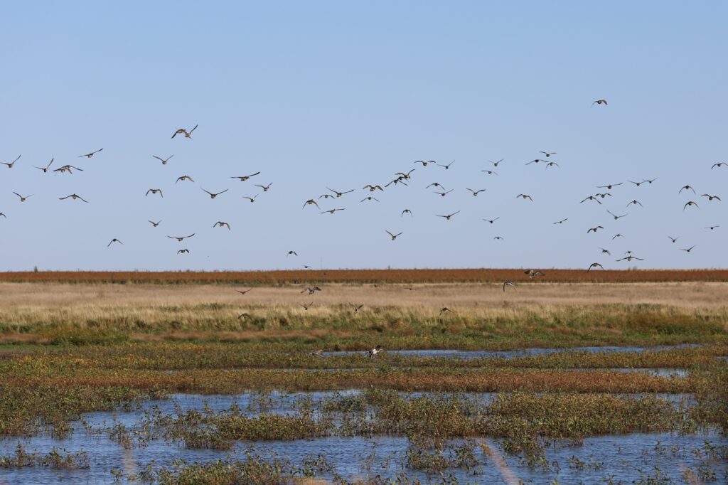 ‘Wild places are worth fighting for’: Concern grows for receding South ...