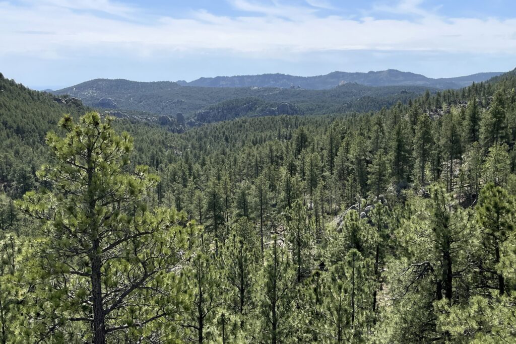 If public lands go up for sale, so will America’s frontier spirit ...