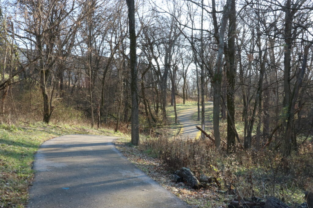 Making a Kentucky campus a better home for woodpeckers, one box at a ...