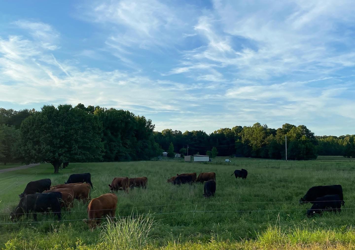 In Alaska, a graphite mine races toward approval without the required ...