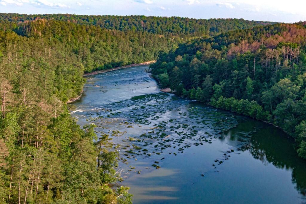 Alabama environmental groups secure rare win in fight to update water ...
