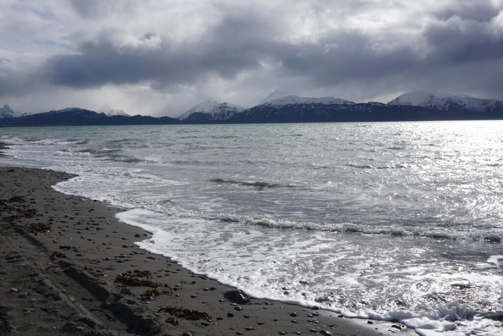 Alaska Supreme Court allows personal watercraft in Homer’s Kachemak Bay ...