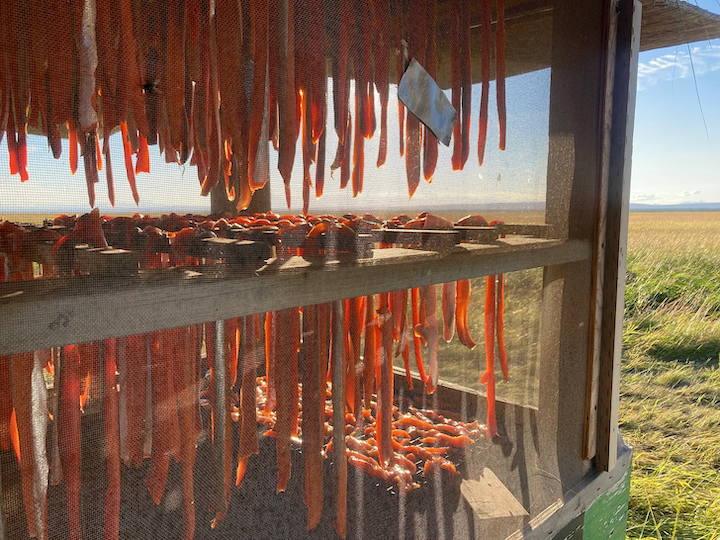 With little movement on salmon bycatch, Alaska advocates look to Biden ...