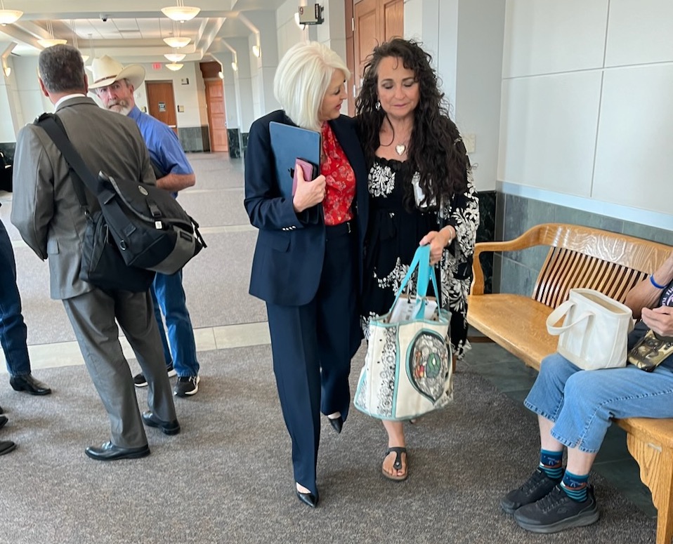 Jury hears details of secret recording during Tina Peters trial | News ...