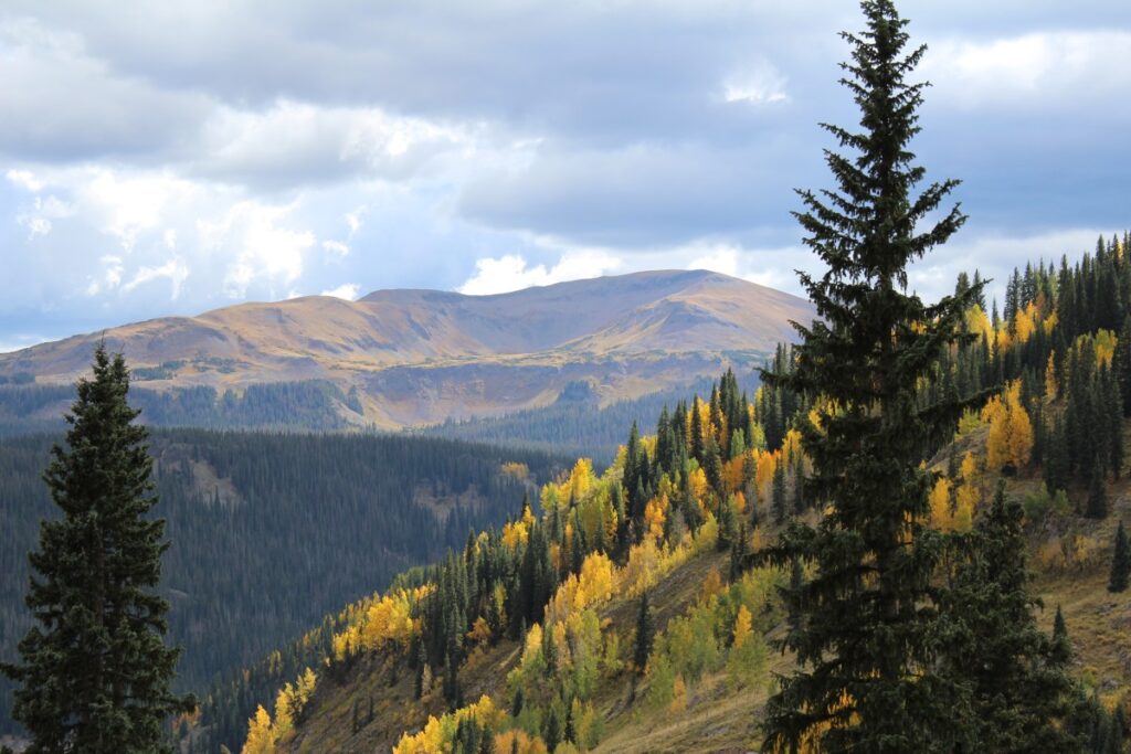 Roadless areas protect America’s wildest lands. They must be preserved ...