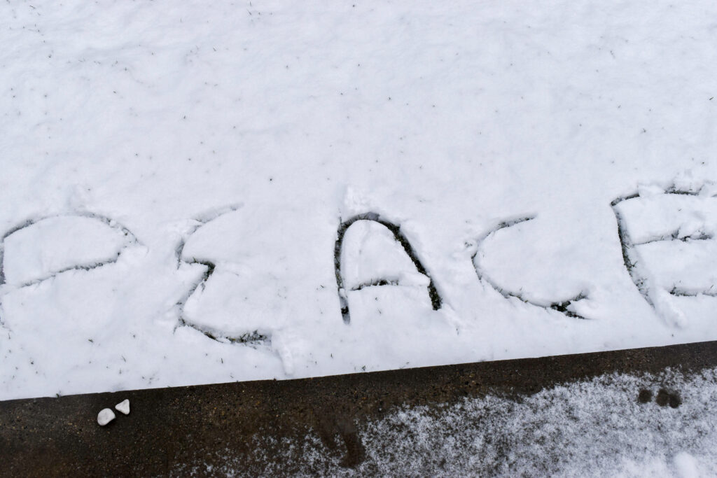 DOJ releases transcripts of videos by suspect in Brown, MIT professor ...