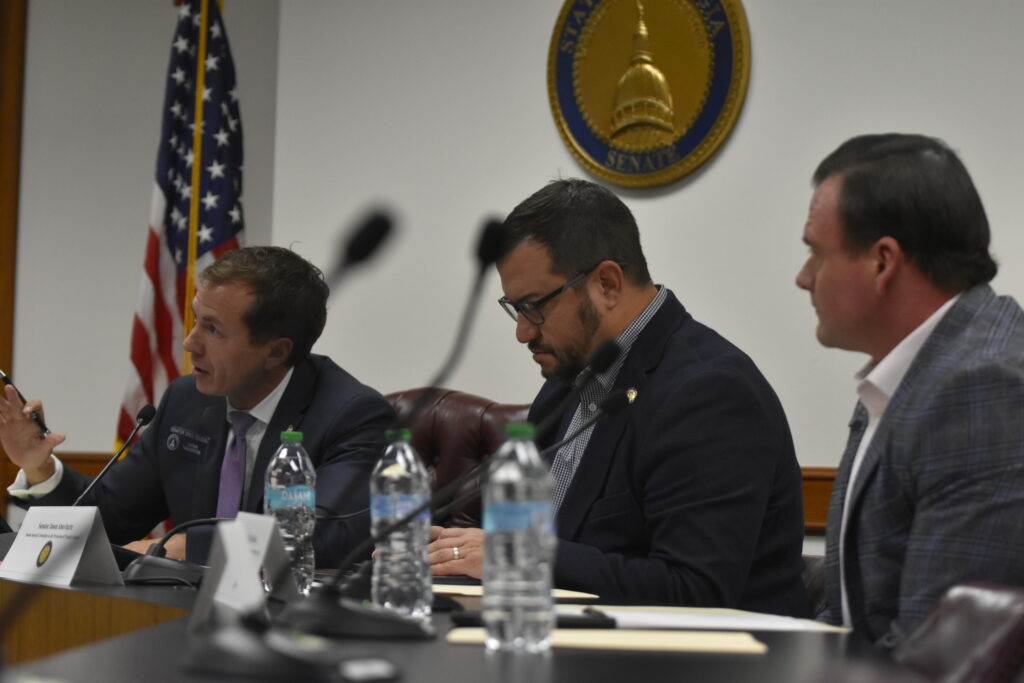 Georgia Senate study panel considers restrictions on trans women’s ...