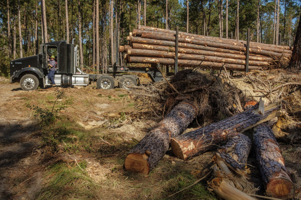 Georgia farmers set to receive $531M in federal disaster aid, though no ...