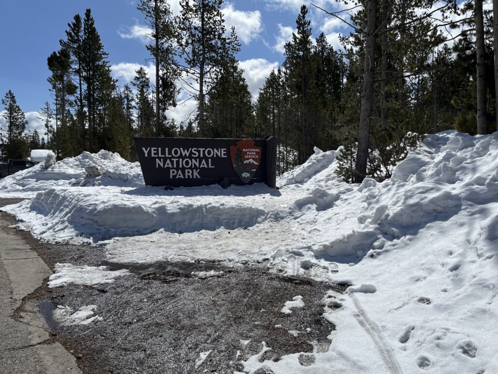 Yellowstone National Park to begin opening entrances, roads to public ...