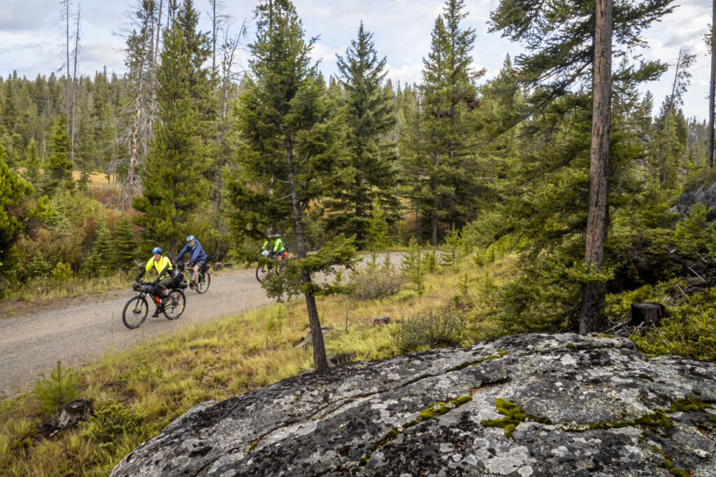 U.S. Forest Service seeking public comment on bike trails project in ...
