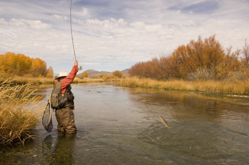 Idaho Fish and Game must evolve for the future of wildlife conservation ...