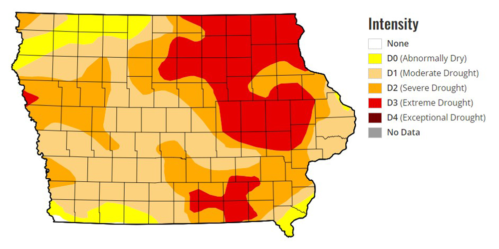 Drought now encompasses 91% of Iowa | News From The States