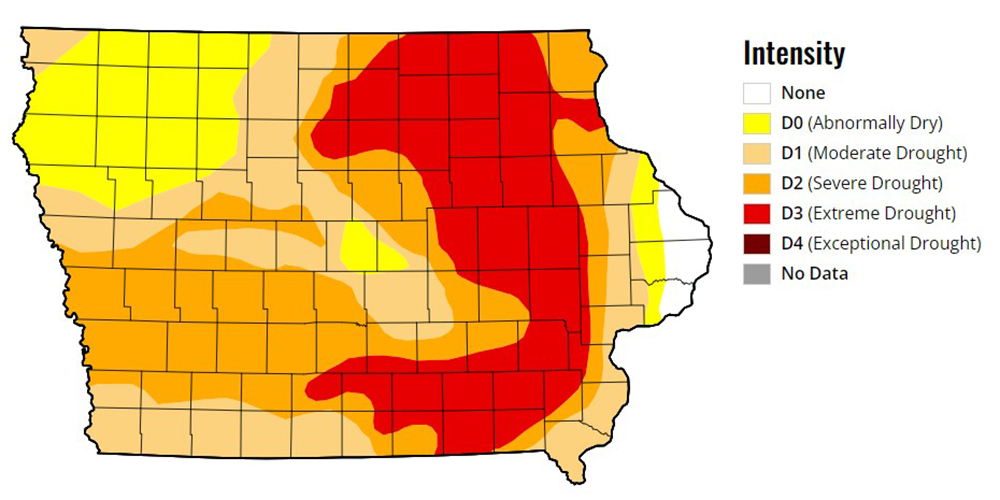 ‘Extreme’ drought expands in southern Iowa | News From The States