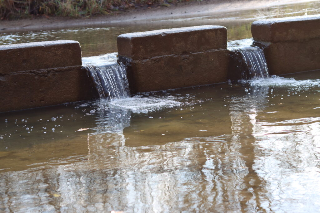 Iowa senators highlight water quality improvement in natural resources ...