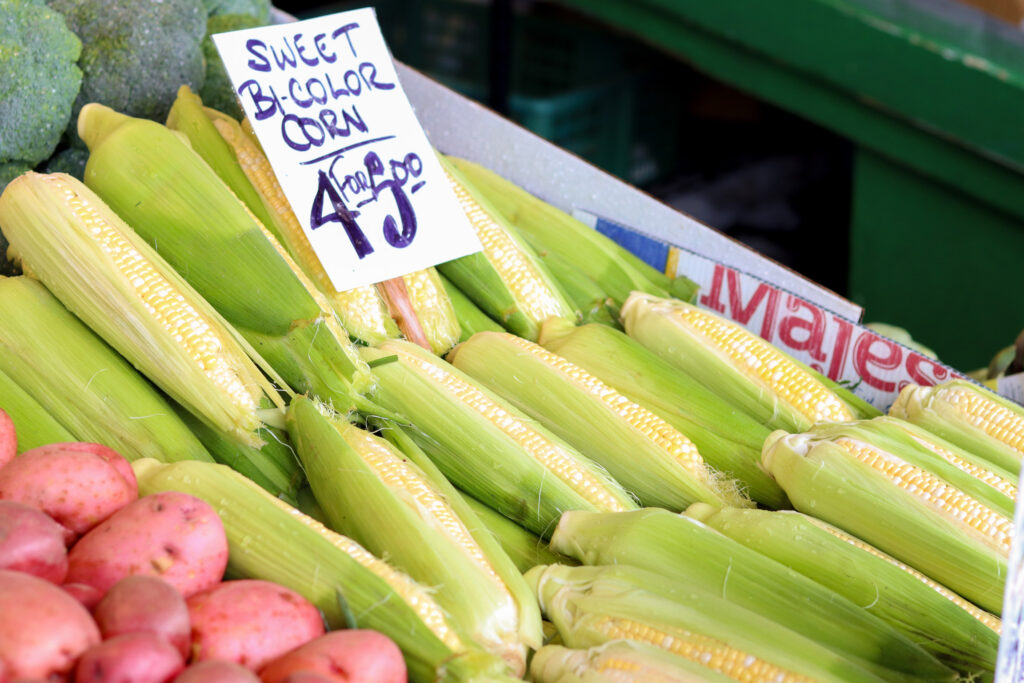 Iowa House panel advances bill to limit SNAP-eligible foods to healthy ...