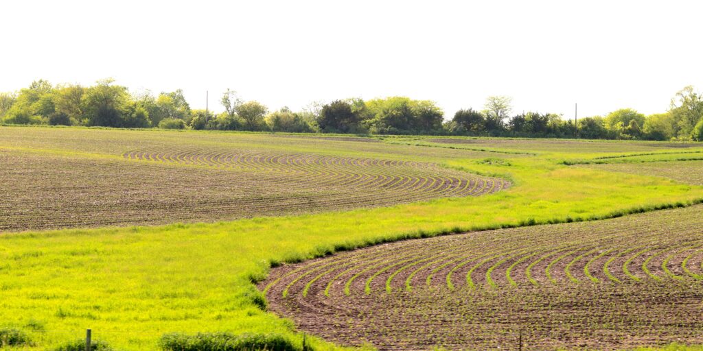 Iowa made ‘rapid progress’ planting corn, soybeans last week | News ...