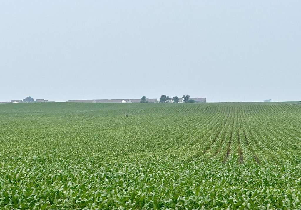 Farmers ready for warmer weather to help crops as dry conditions move ...