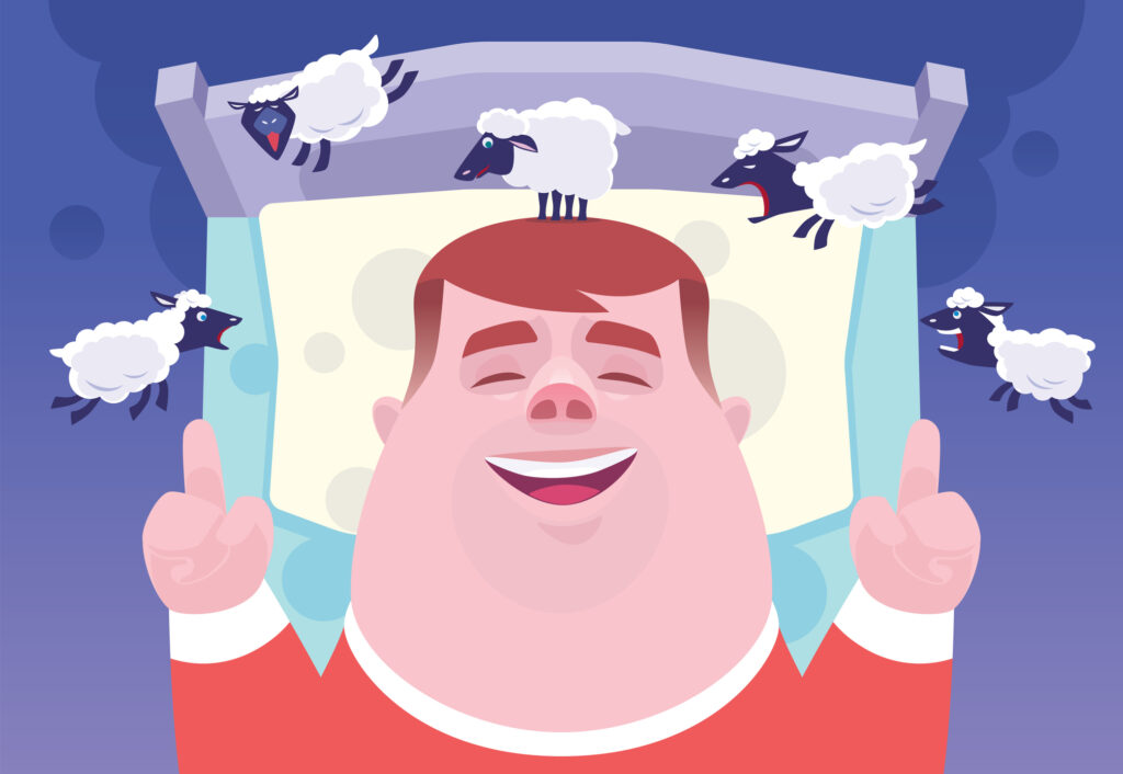 Counting sheep on the way to enlightenment: Why I nap, and why you ...