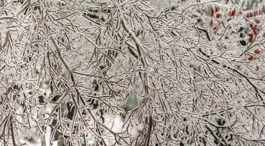 This winter squall will pass, and snow and ice will recede in Kansas ...