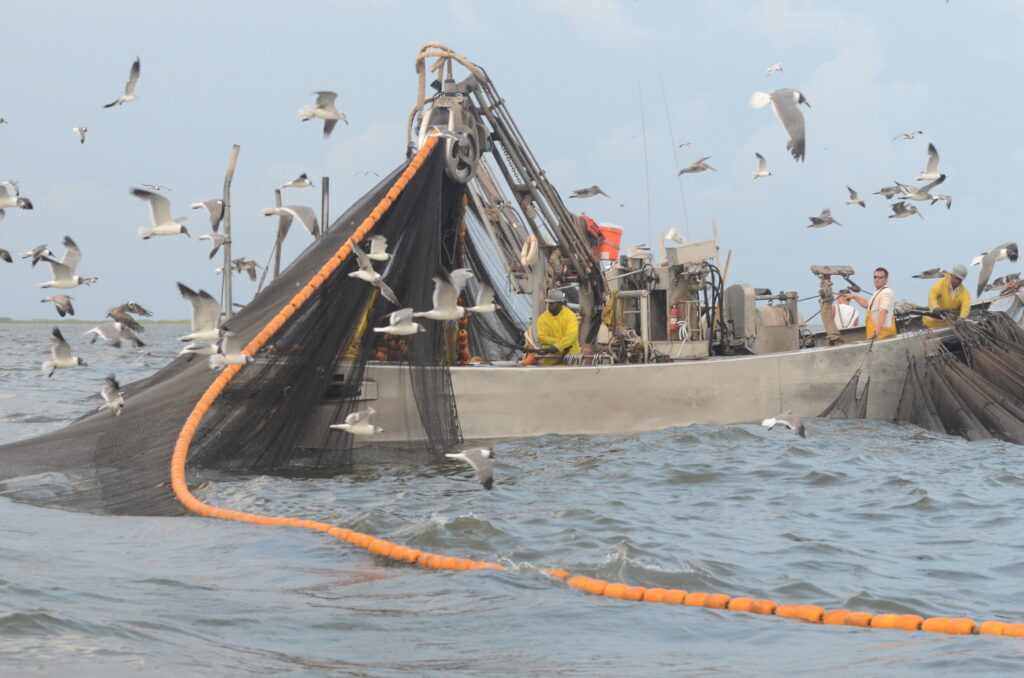 Fewer fish spills reported after Louisiana pushes pogy boats from coast ...